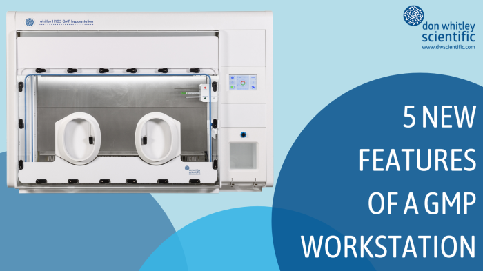 Five New Features of the GMP Workstation