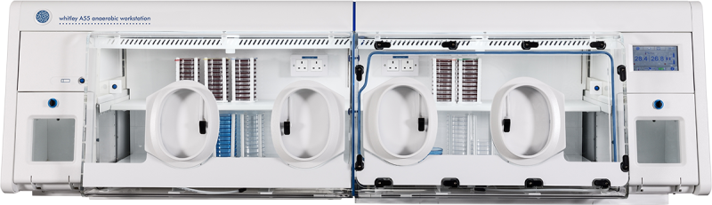 Anaerobic Workstations | Anaerobic Incubator - Don Whitley Scientific